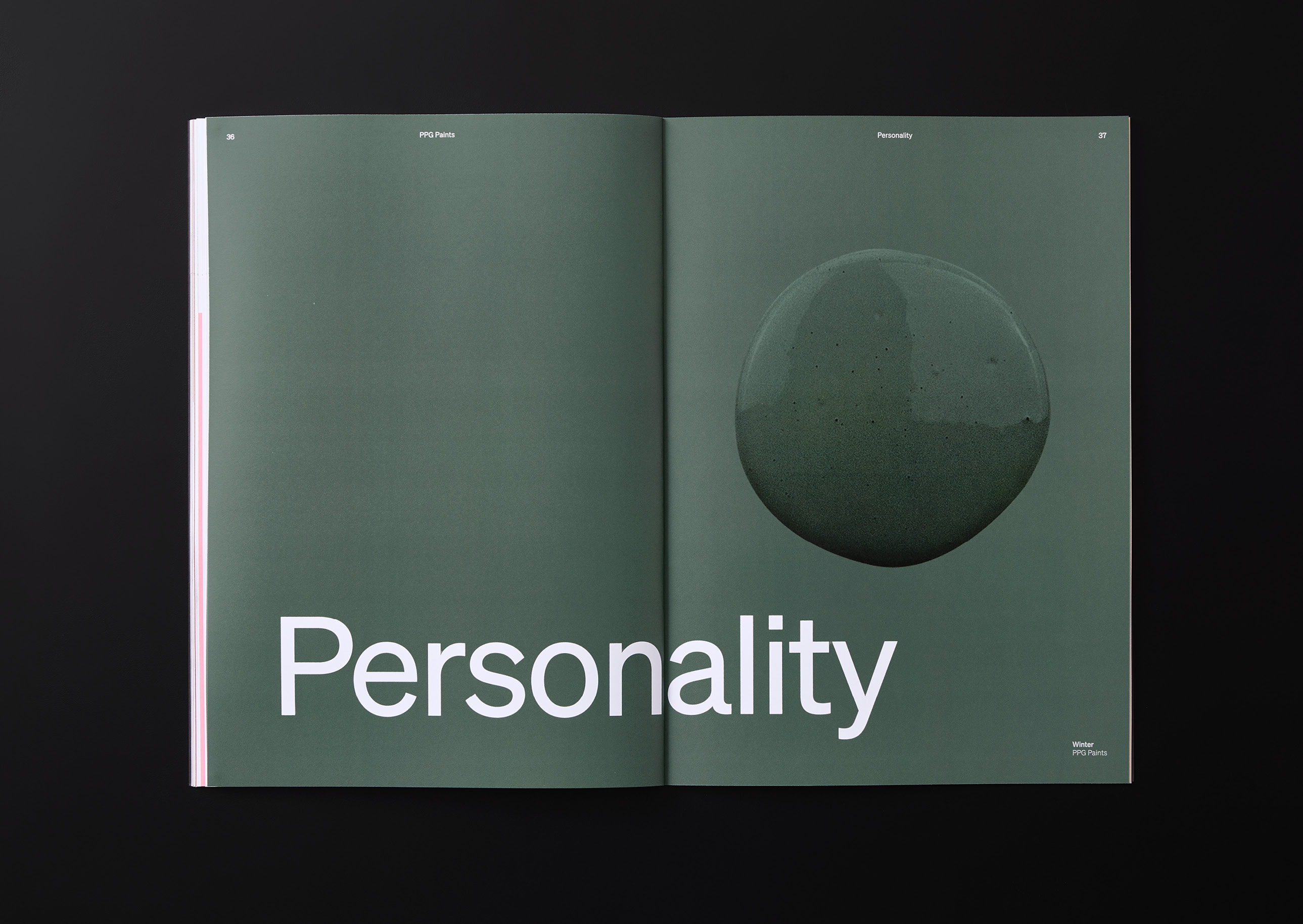 Coloring Book Ppg Industries